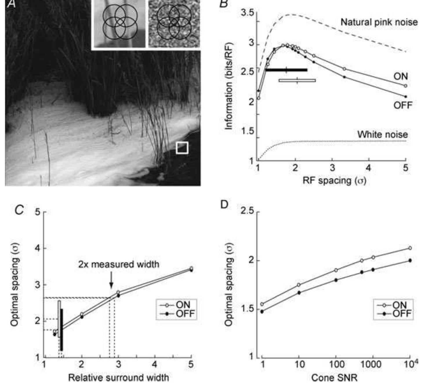 These results were robust to changes in the model — with a