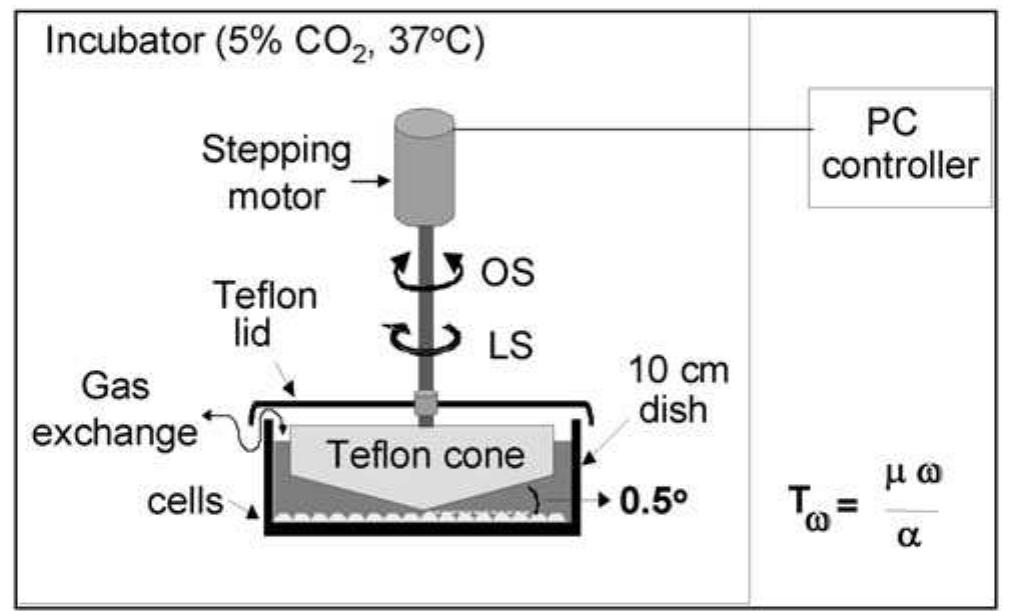 Cone-and-plate shear device. shown is a schematic of the