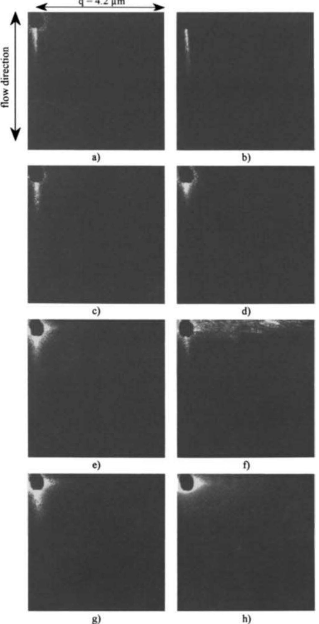 Depolarized (#,,) small-angle light scattering from the hex-