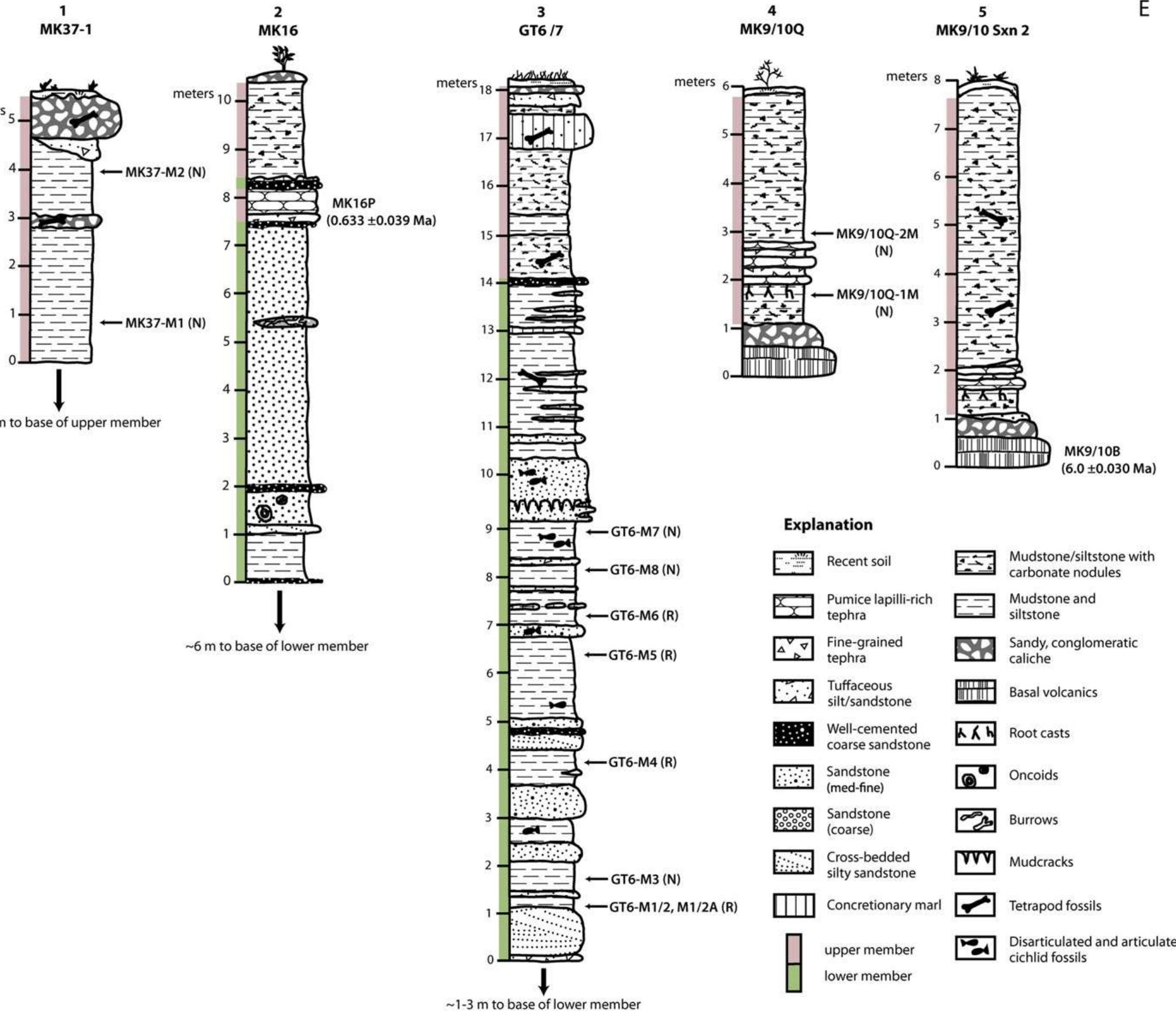 Reference stratigraphic sections showing positions of