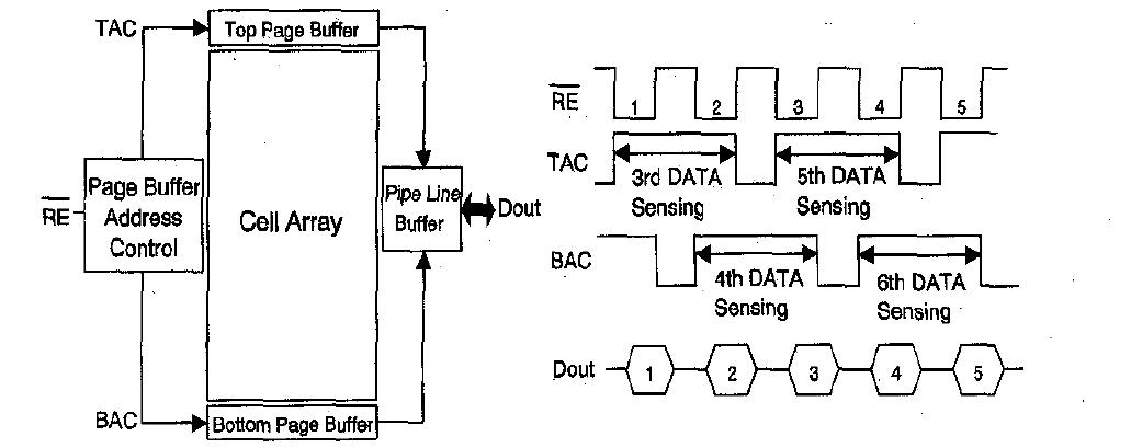 Interleaved Data Paths And Clock Timing Diagram By