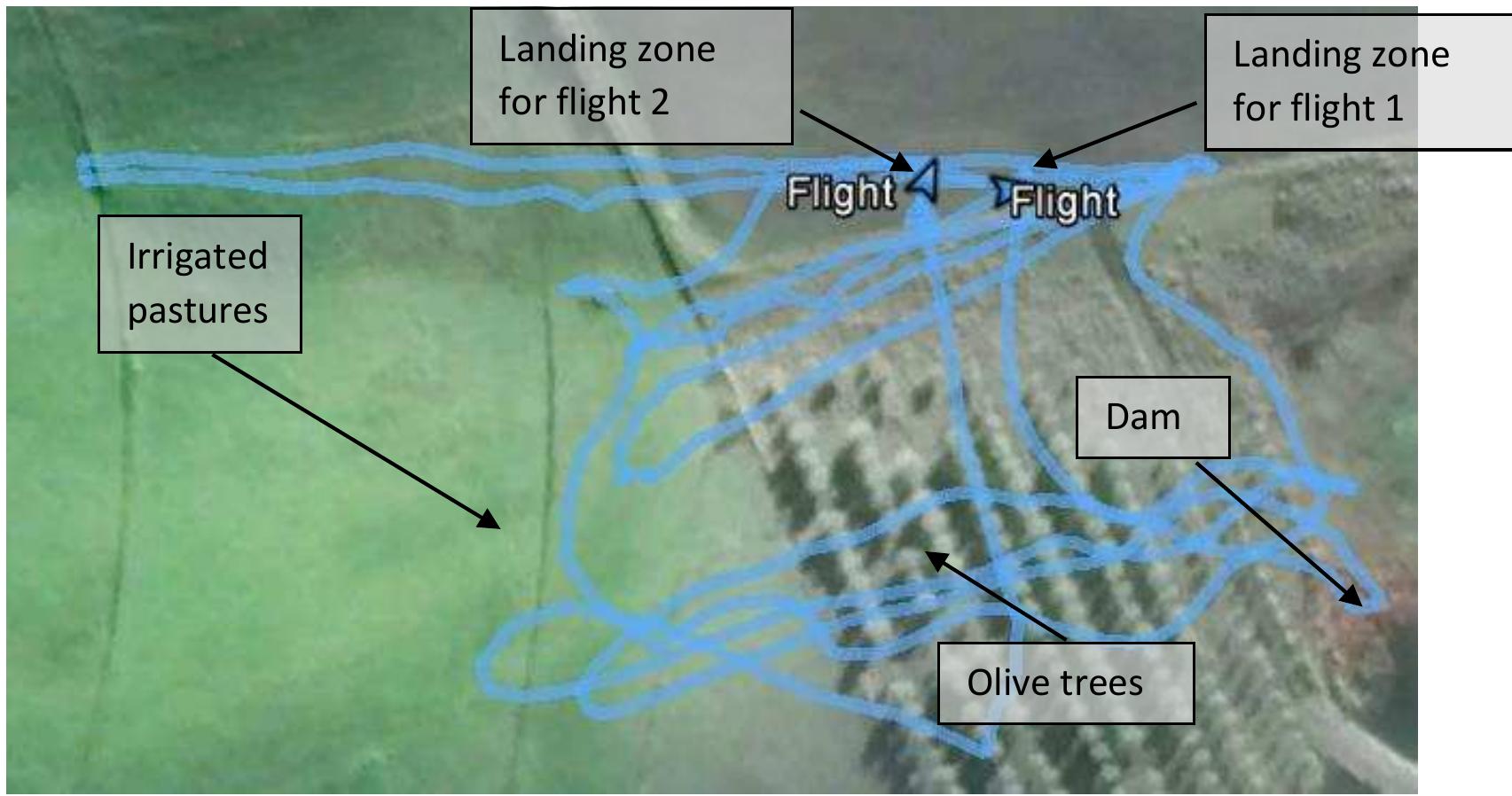 Image of uav flight lines with landing zones for each