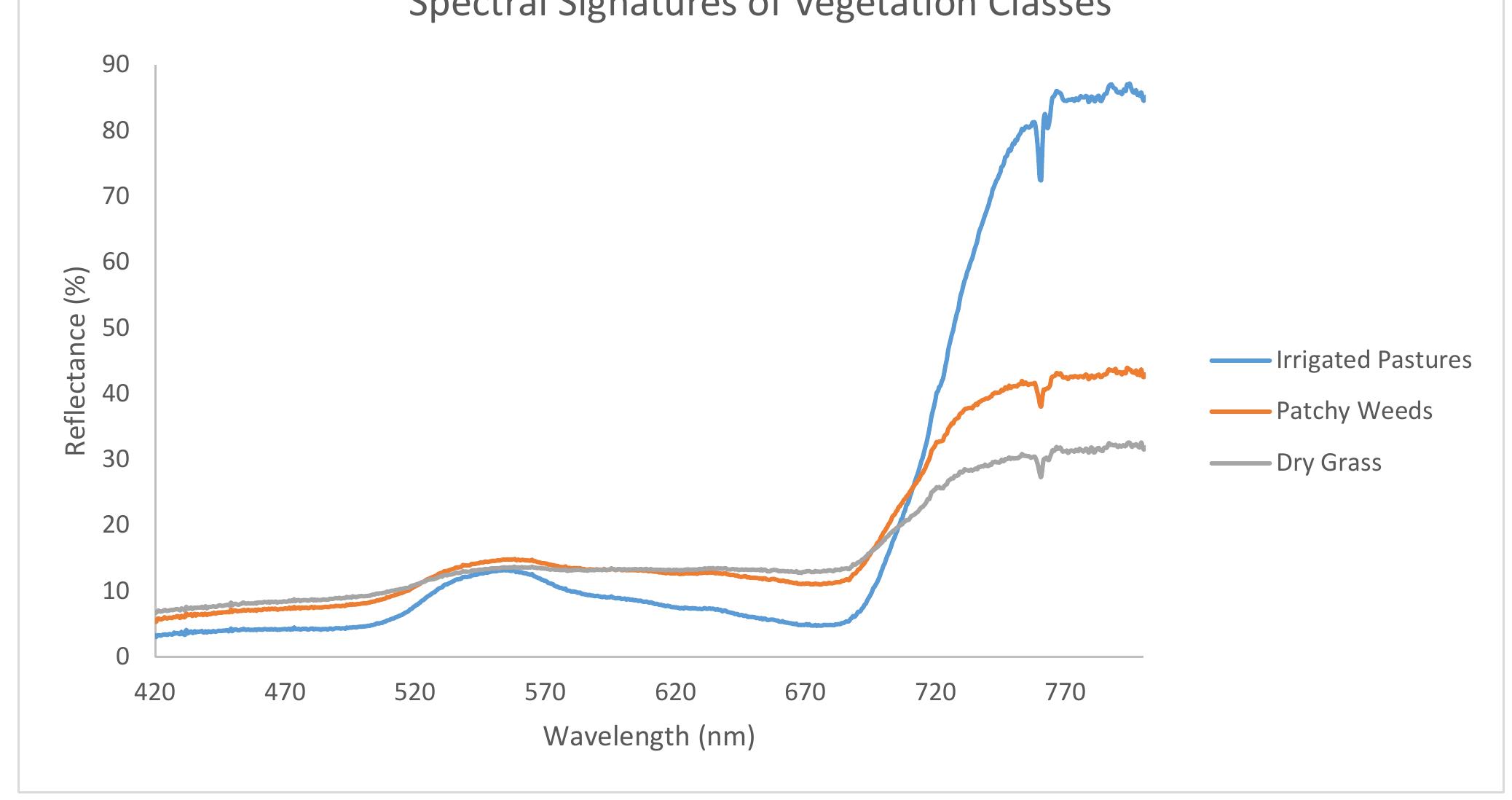 Spectral signatures of typical vegetation classes within the
