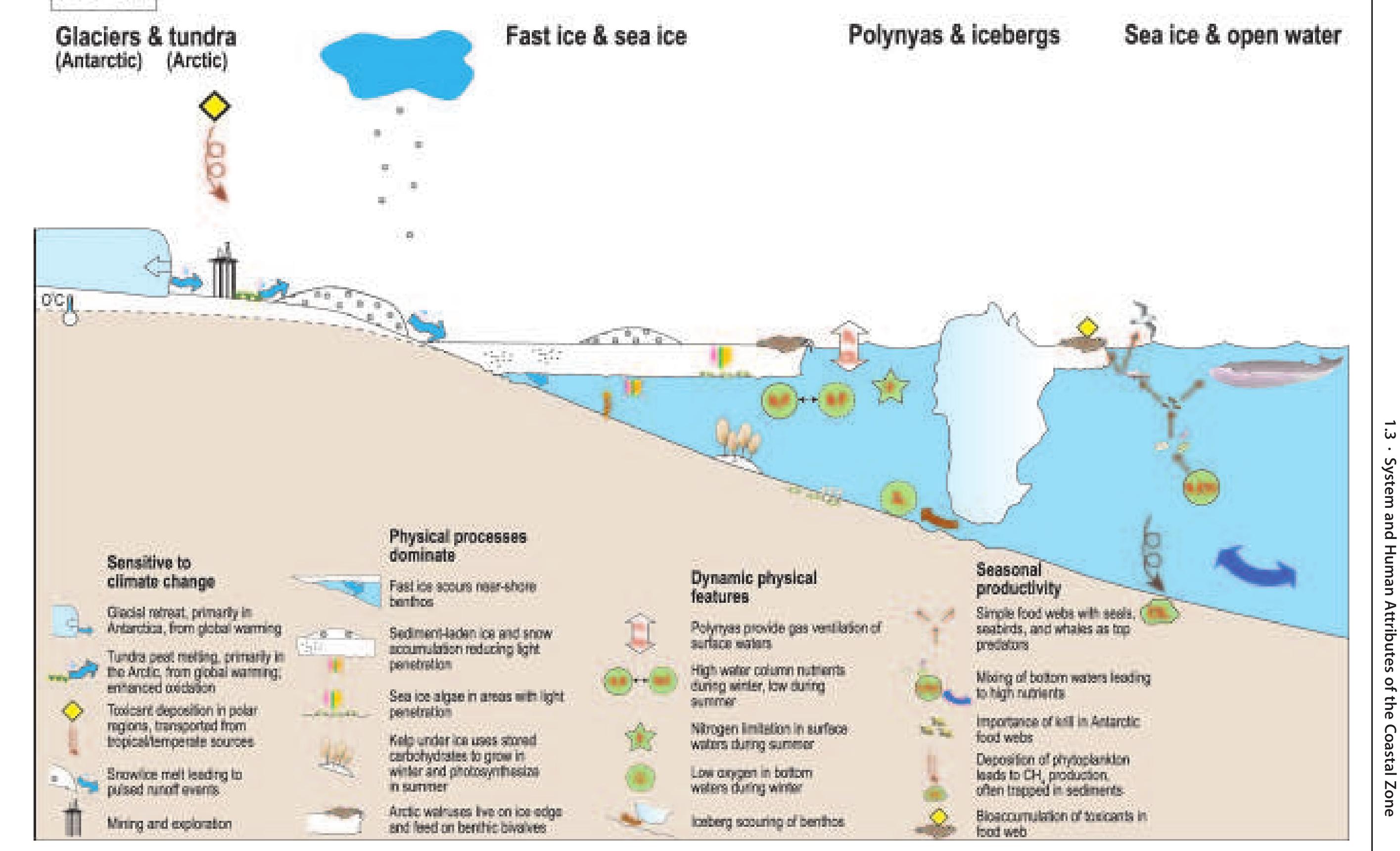 3a. the coastal zone. conceptual diagrams of processes and