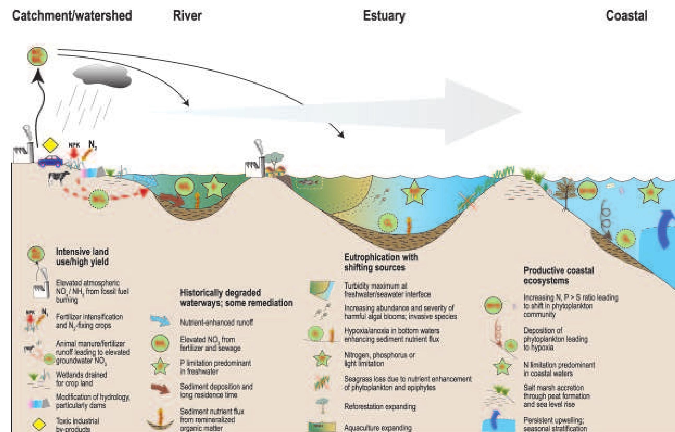 3b. the coastal zone. conceptual diagrams of processes and
