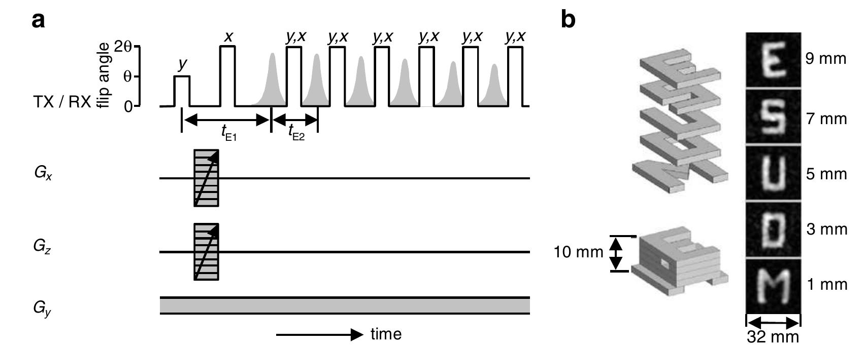 Imaging in time-invariant gradient fields. (a) 2d imaging