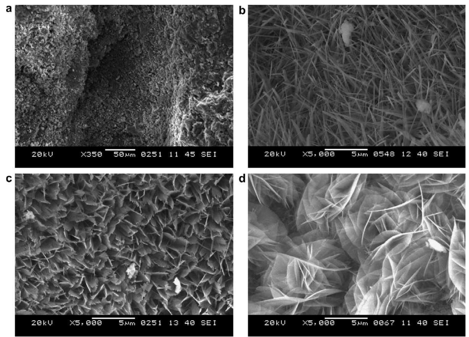 (a) porous microstructure of sfo mixture, (b) fibrous csh in