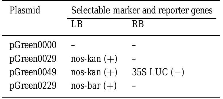 Nomenclature of pgreen derivatives used in this work. the