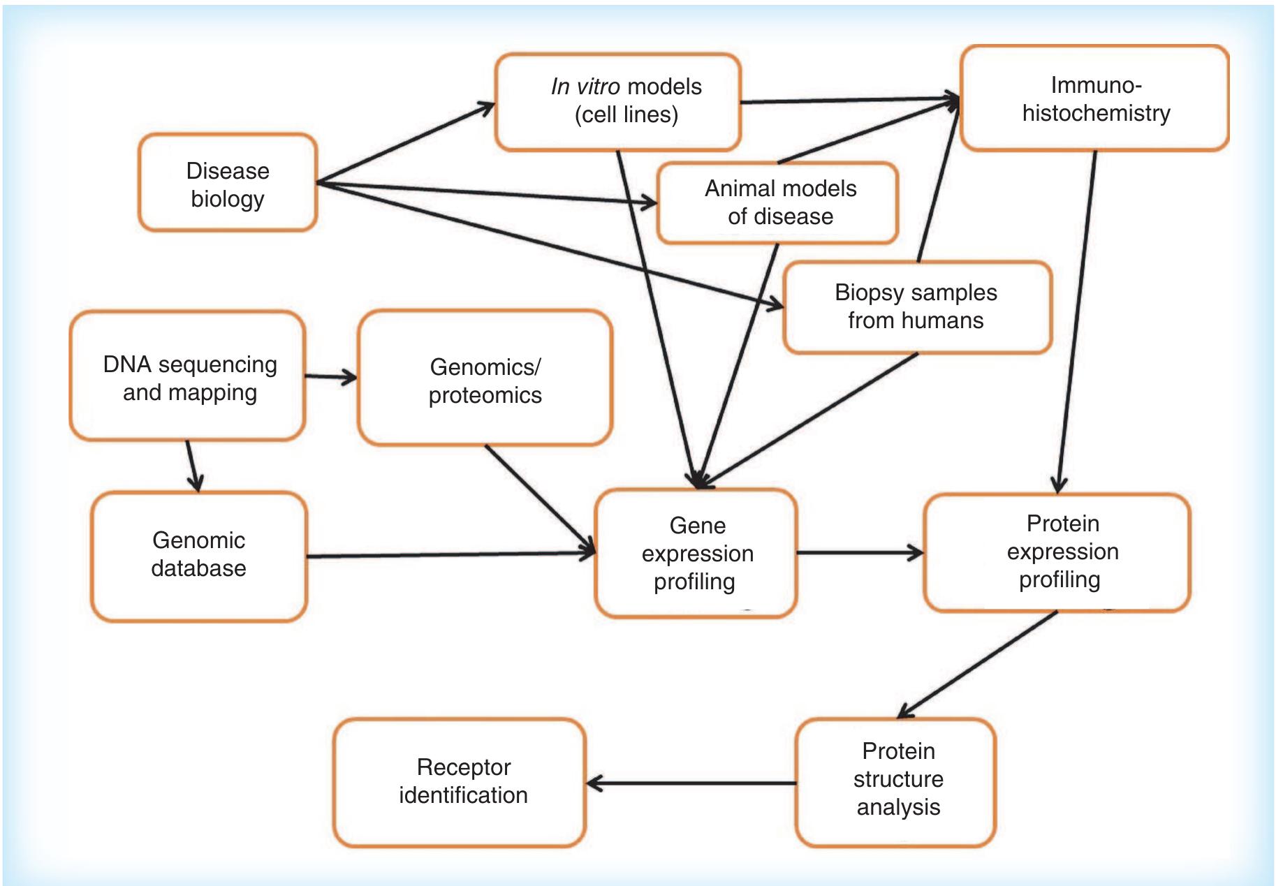 Process of receptor identification. reaching a viable