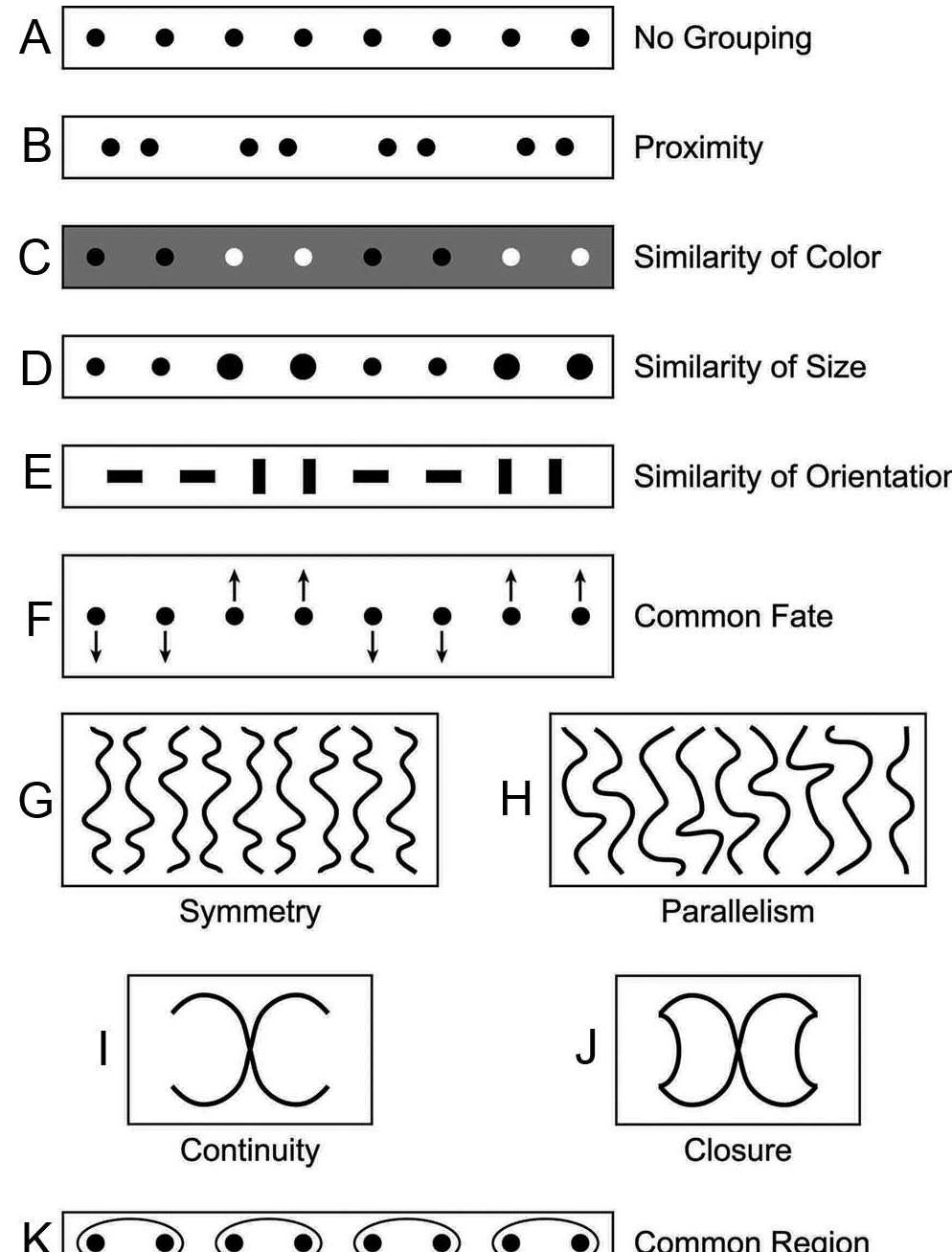 Figure 1 - A century of Gestalt psychology in visual