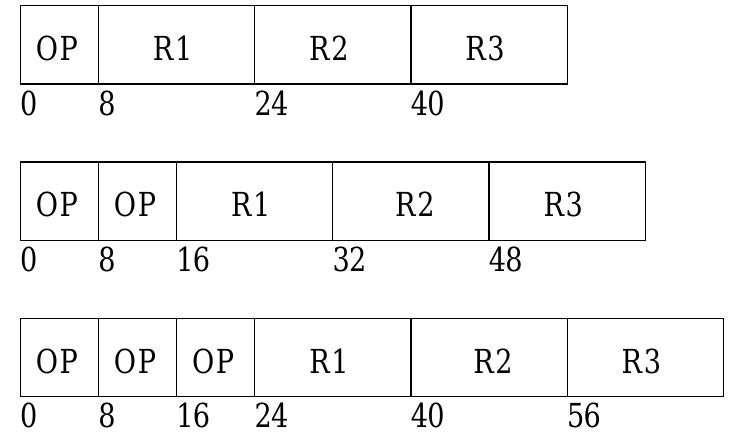 Examples of various instruction formats on register