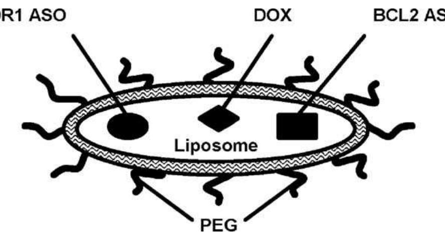 Complex liposomal drug delivery system. the system consists