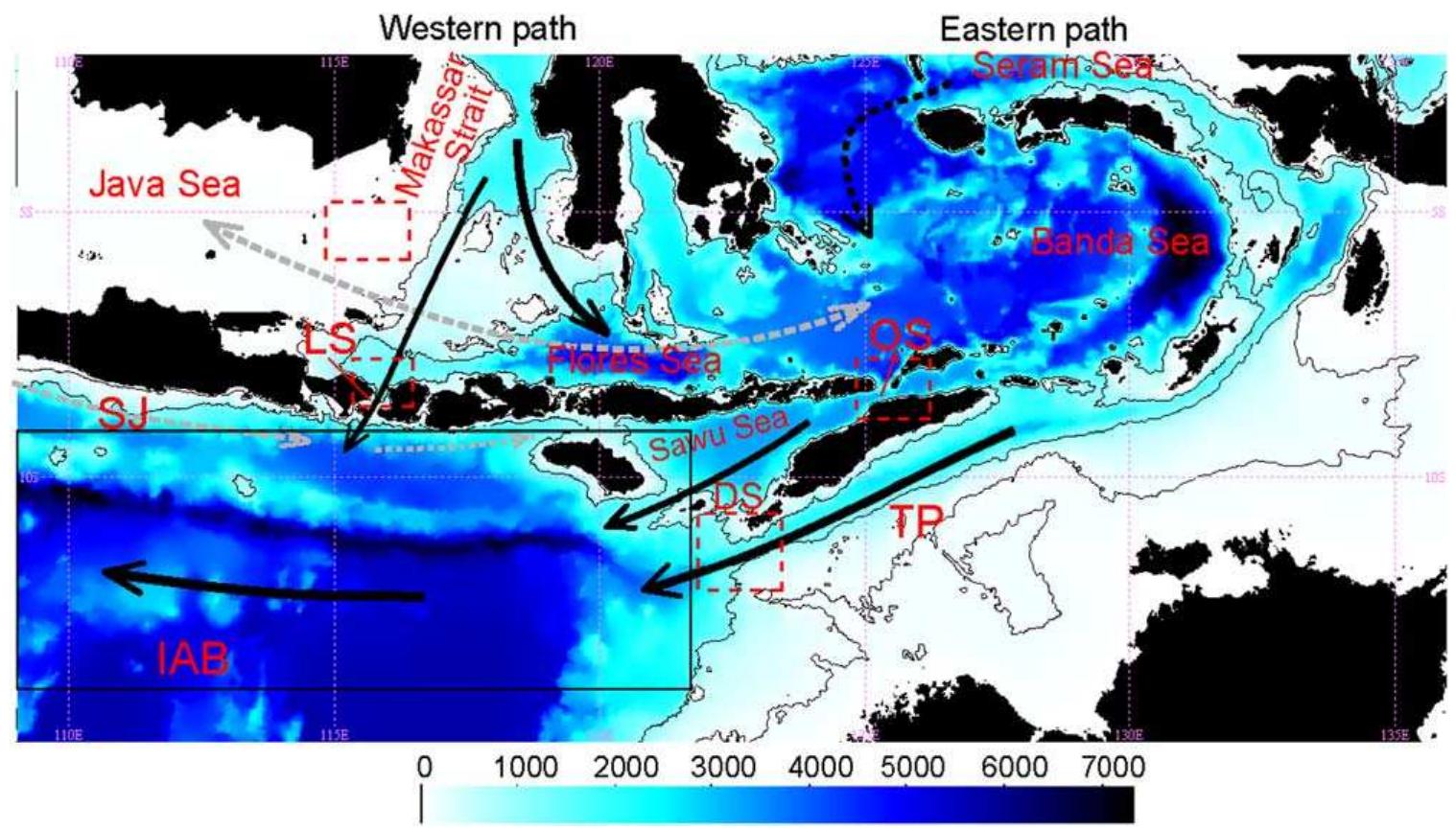 Schematic circulation of the indonesian throughflow near the