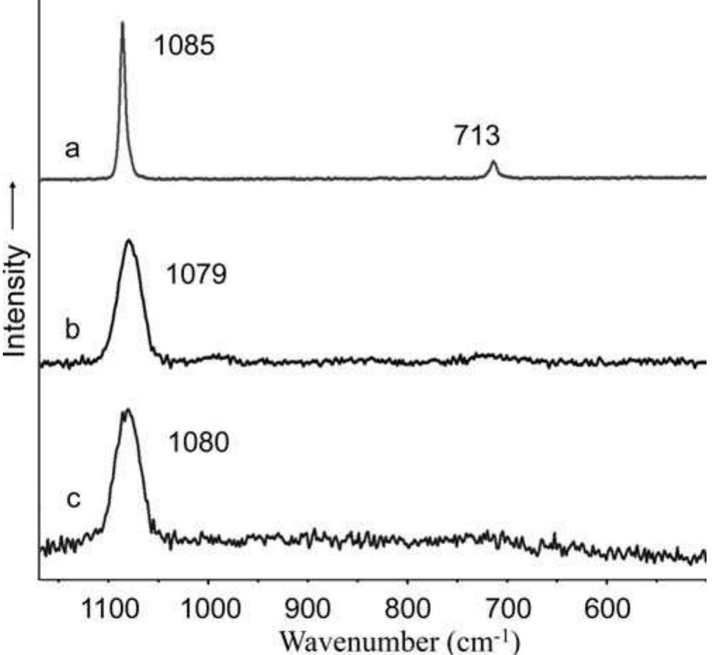 Representative raman spectroscopy spectra of the three