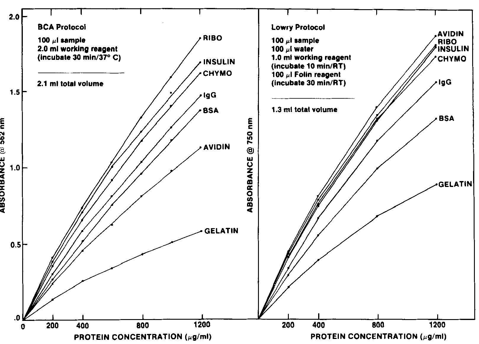 Figure 4 - Measurement of protein using bicinchoninic acid