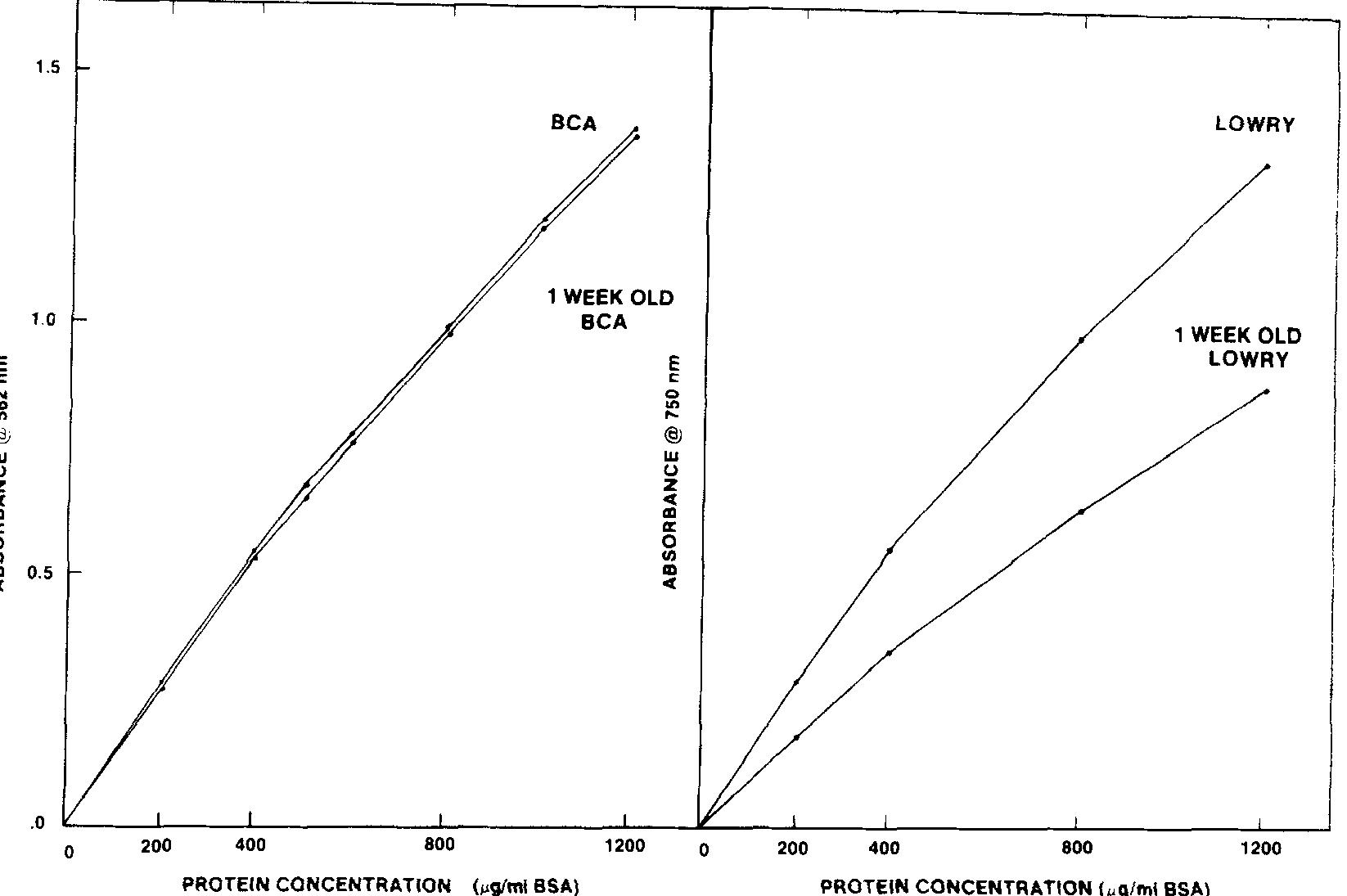 (PDF) Measurement of protein using bicinchoninic acid