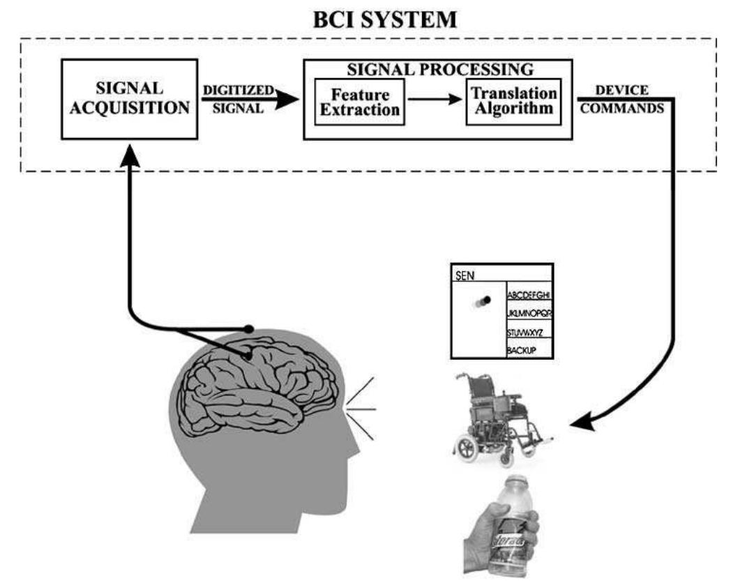 Basic Design And Operation Of Any Bci System Signals From
