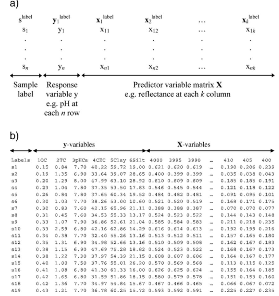 (a) general input file format for parles and (b) a sample