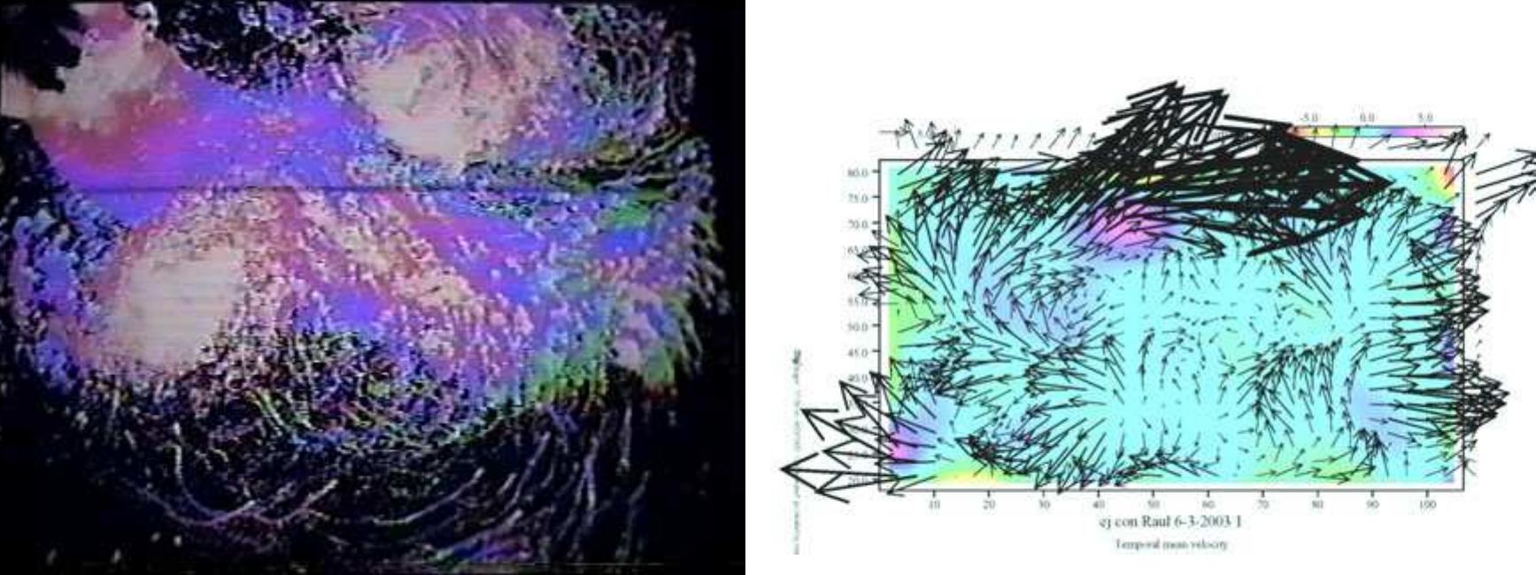 Samples of the pictures obtained showing water behavior