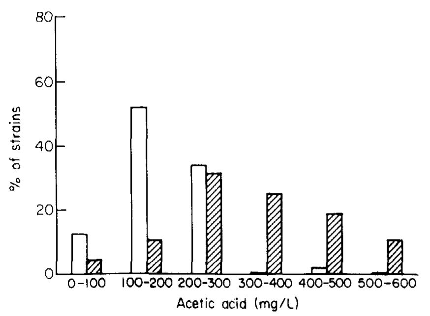 Histograms of acetic acid production in synthetic medium by