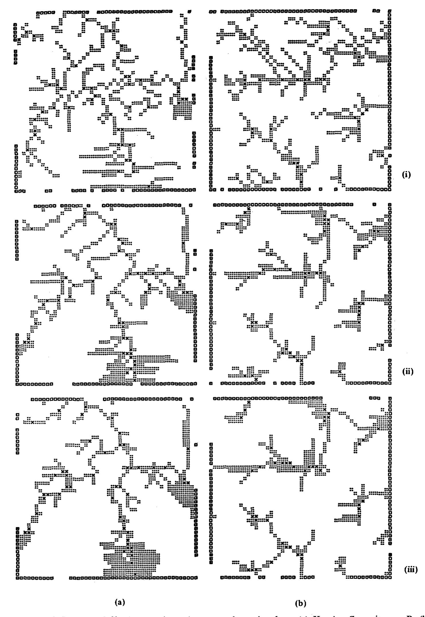 Figure 7 The Extraction Of Drainage Networks From Digital
