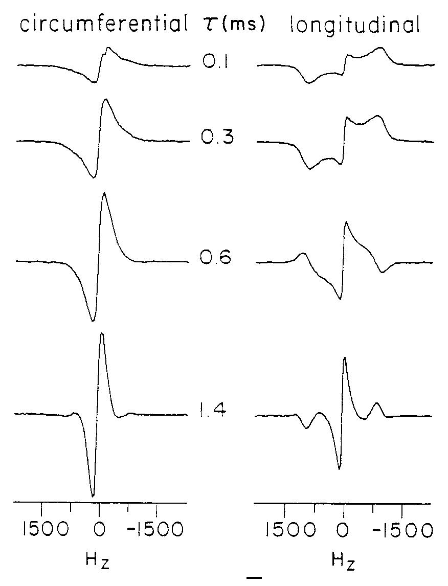 7h dqf spectra of bovine coronary artery for circumferential