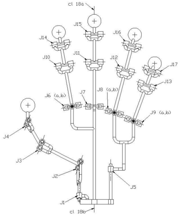 Kinematic diagram of the svh, showing all 20 joints, label