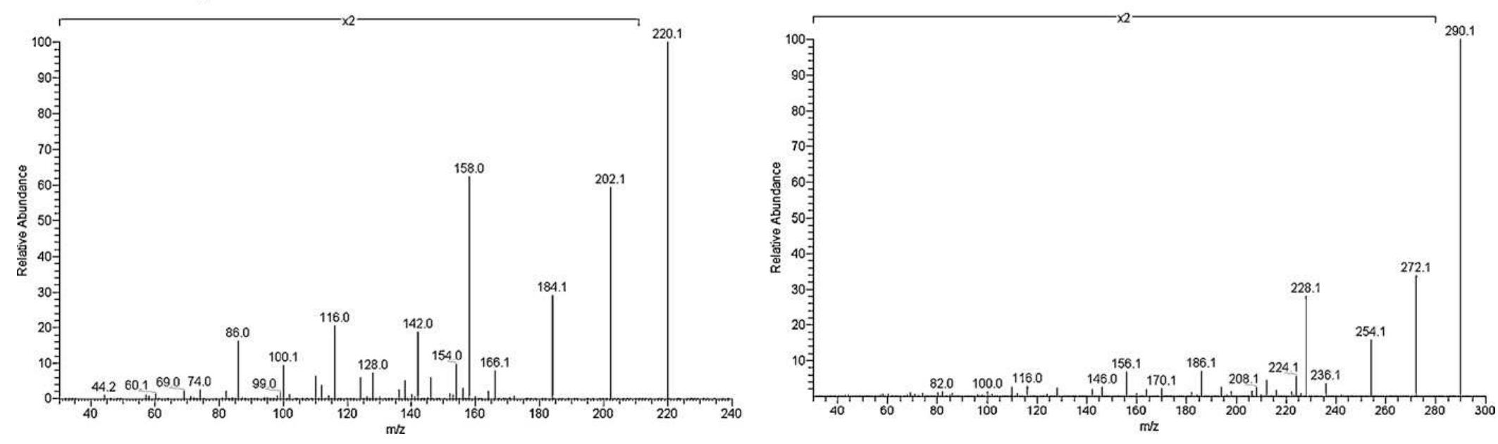 Ms/ms spectra of miglustat (left) and the internal standard