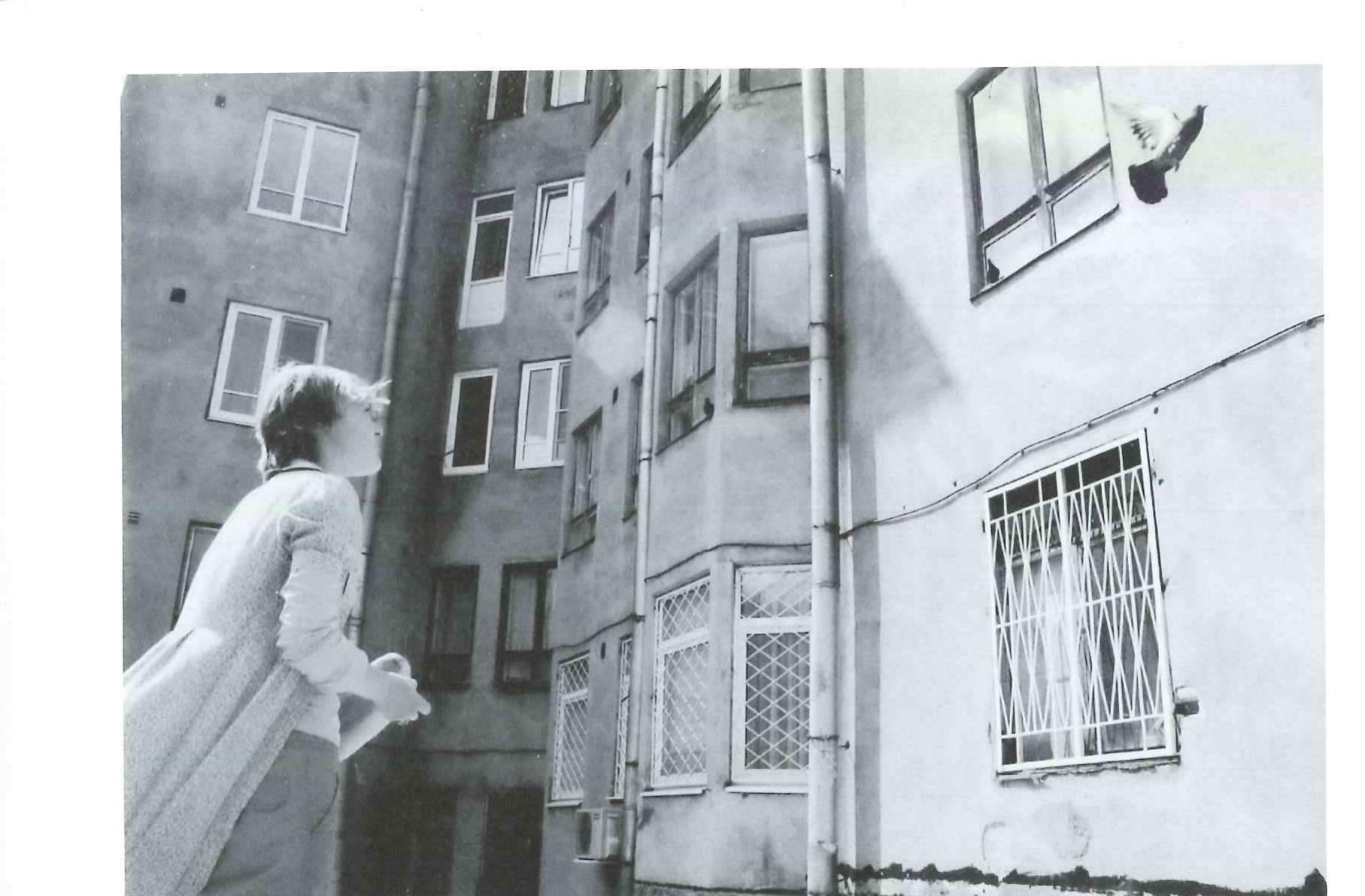 Figure 7 - from What's the Time in Vyborg