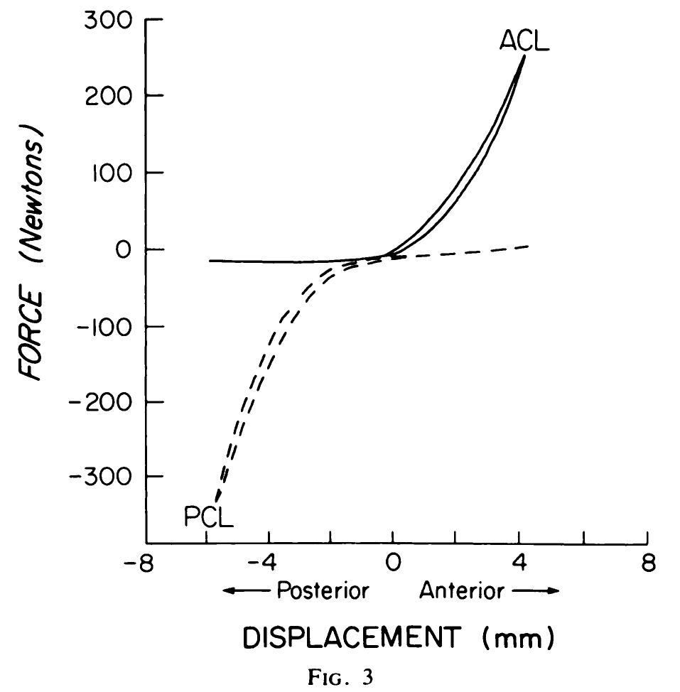 Restraining forces of the anterior (solid line) and