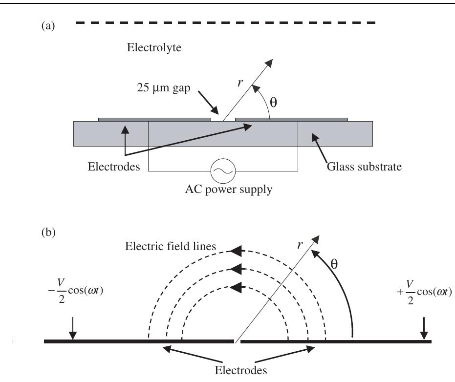 (a) schematic diagram of the electrodes used to move