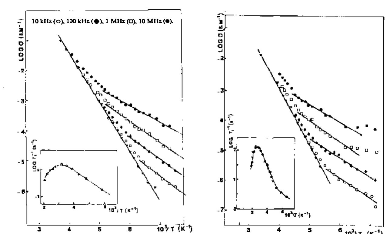 Arrhenius plots for electrical conductivity at various fixed