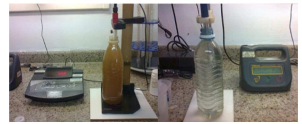 Water quality before and after filtration.
