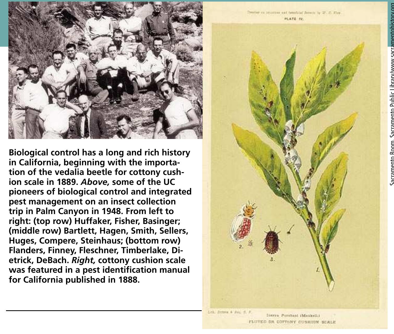 Complete their development); pathogens (bacteria, fungi and