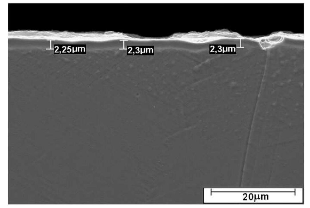 Sem cross section images of the duplex treated uns s31803