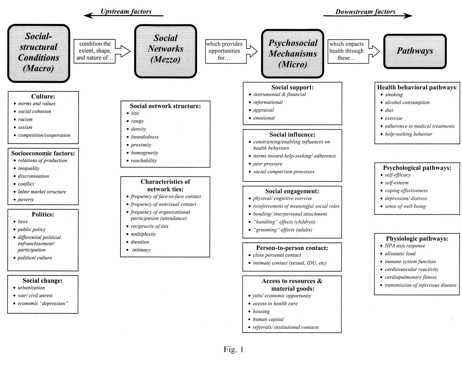 (PDF) From social integration to health: Durkheim in the new millennium ...