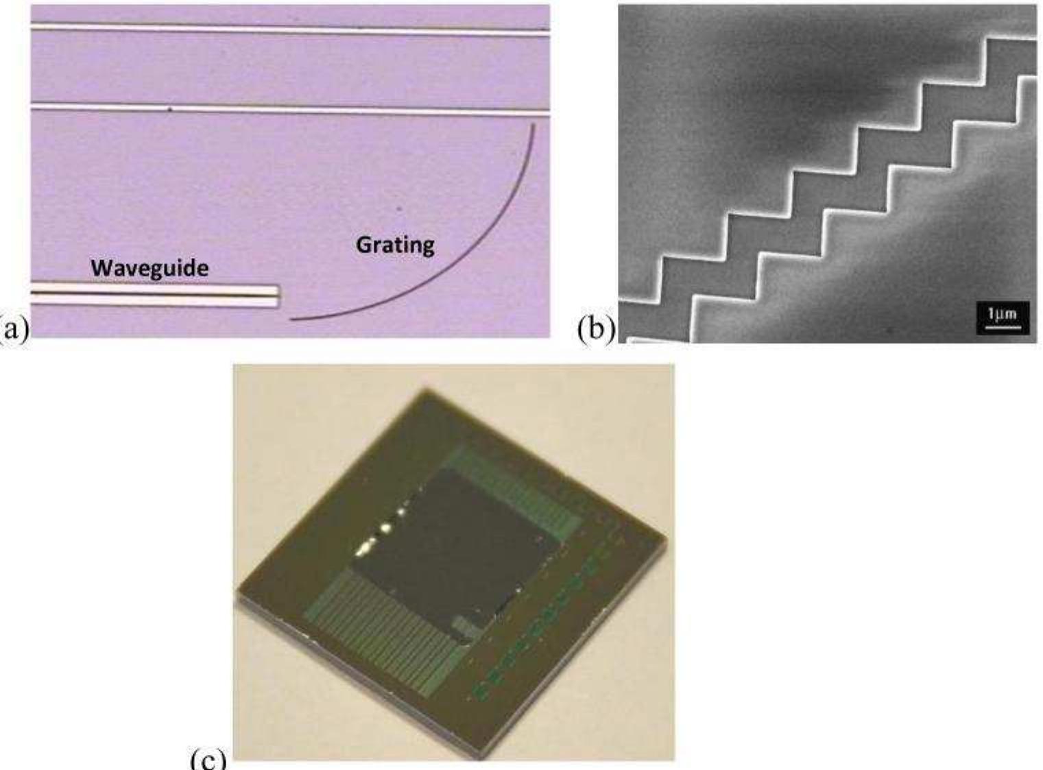 (a) optical microscope image of the waveguide and grating
