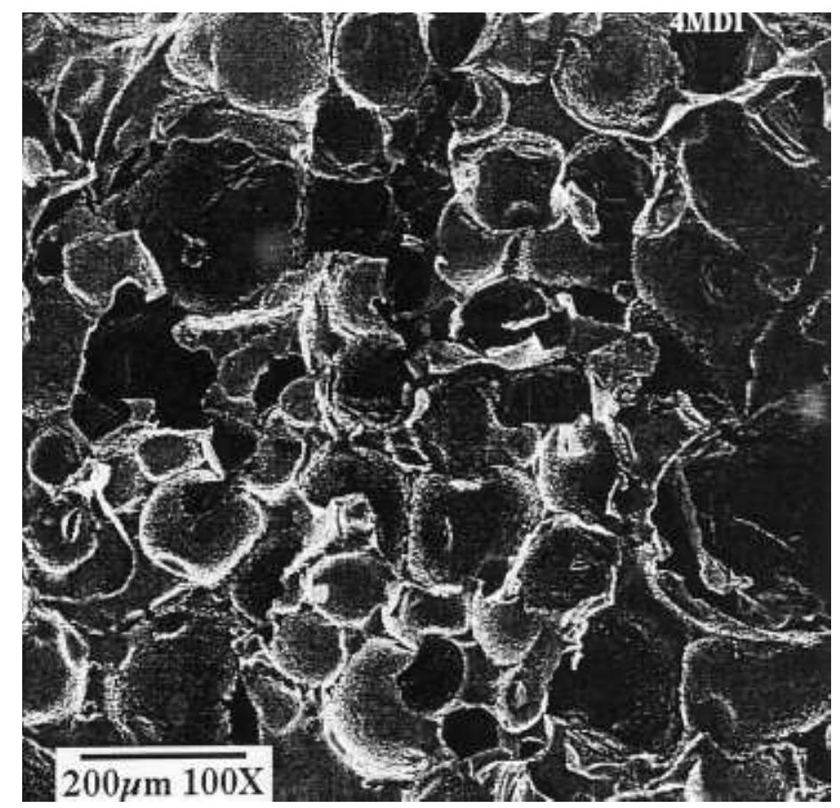 Sem for the foam sample with 4% water at mdi index 1.1. for