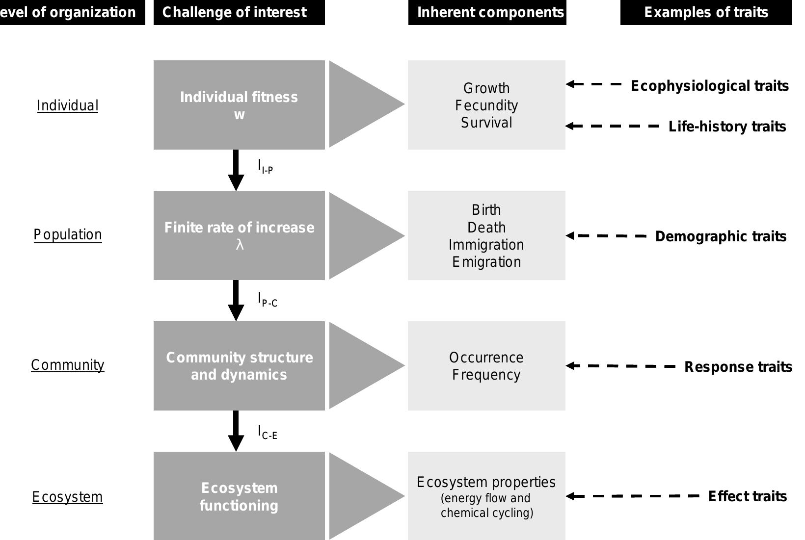 (PDF) Let the concept of trait be functional