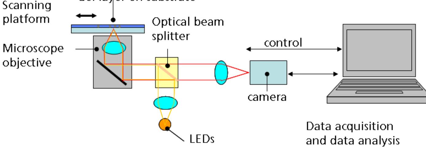 Principle and structure of optical detection unit