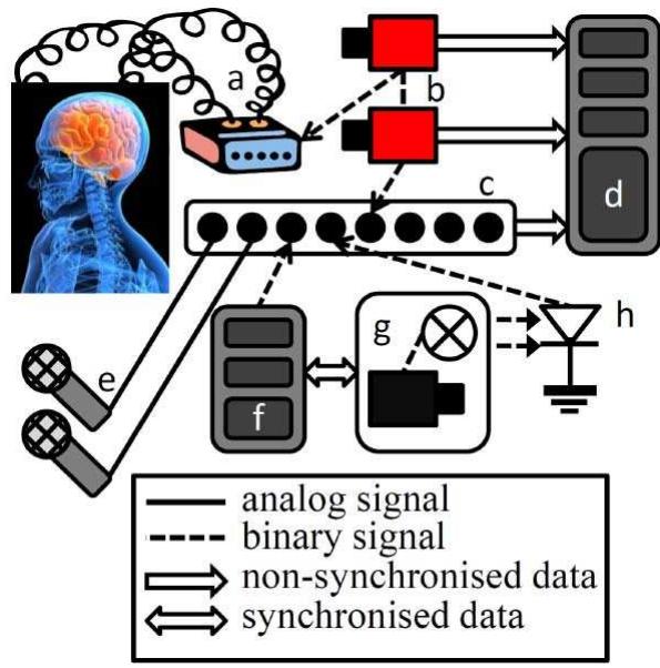 Overview of our synchronized multisensor data capture