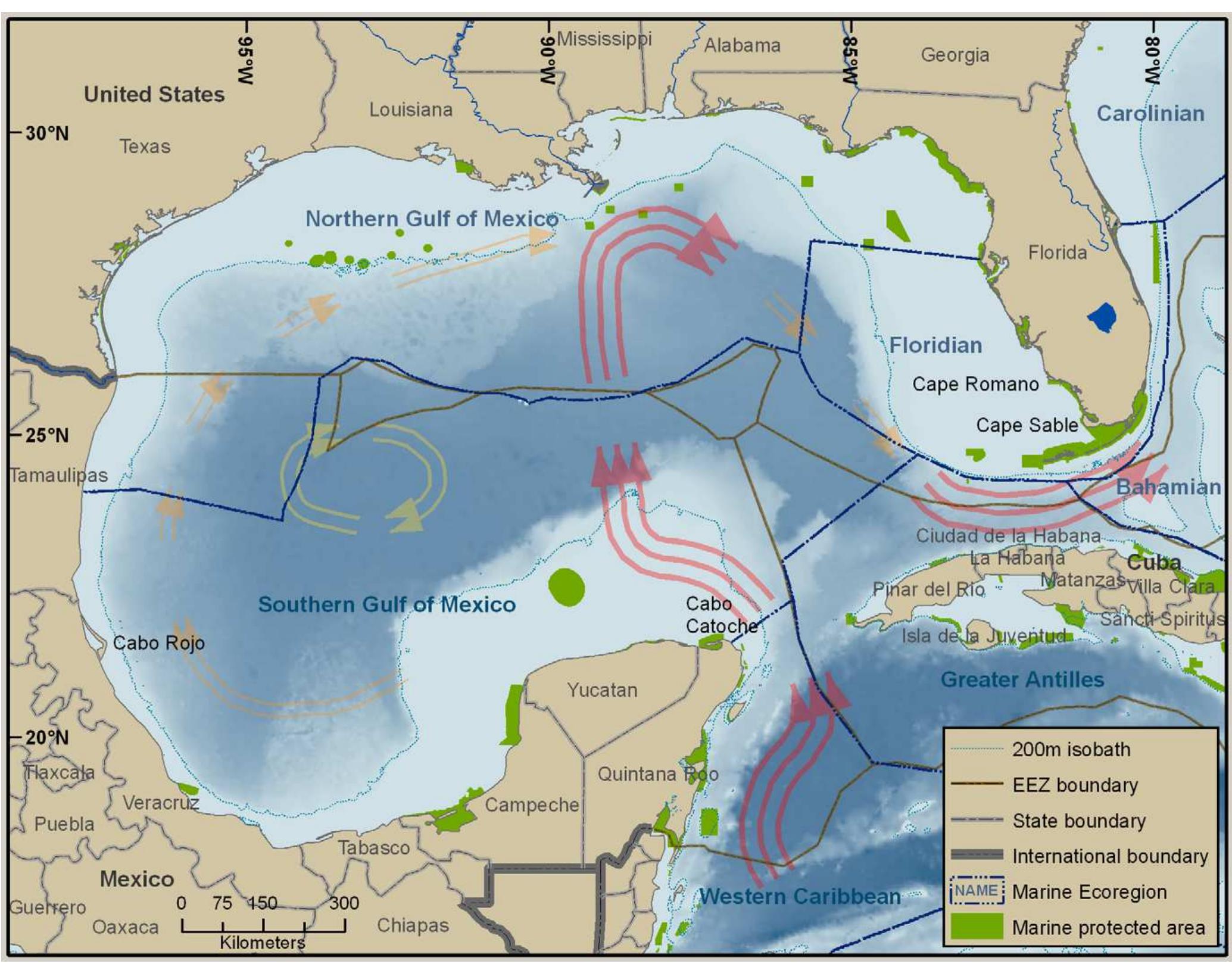 Gulf of mexico large marine ecosystem, surrounded by united