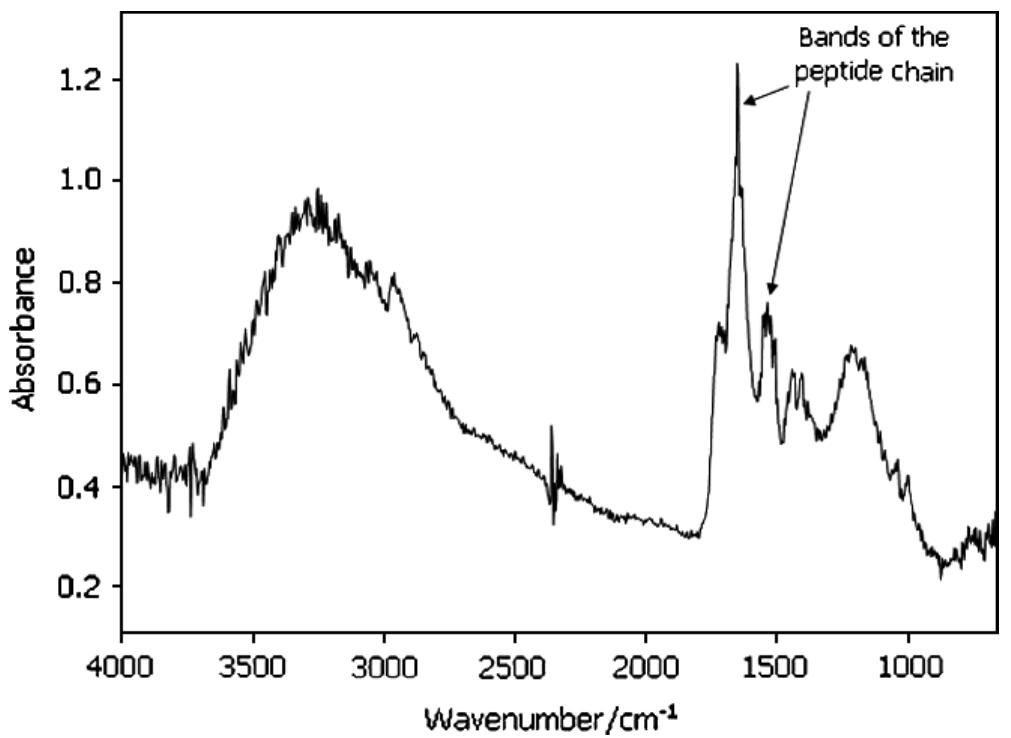 Micro-ftir spectrum of the extract obtained from a red-dyed