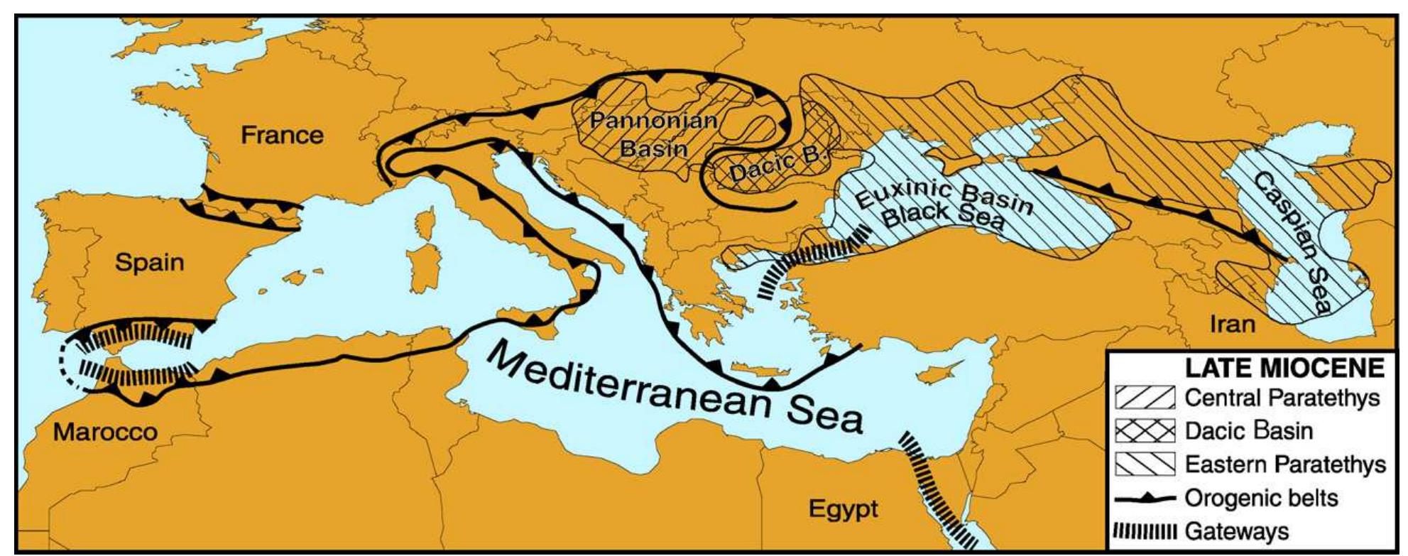 "ig. 1. schematic map of the late miocene showing the