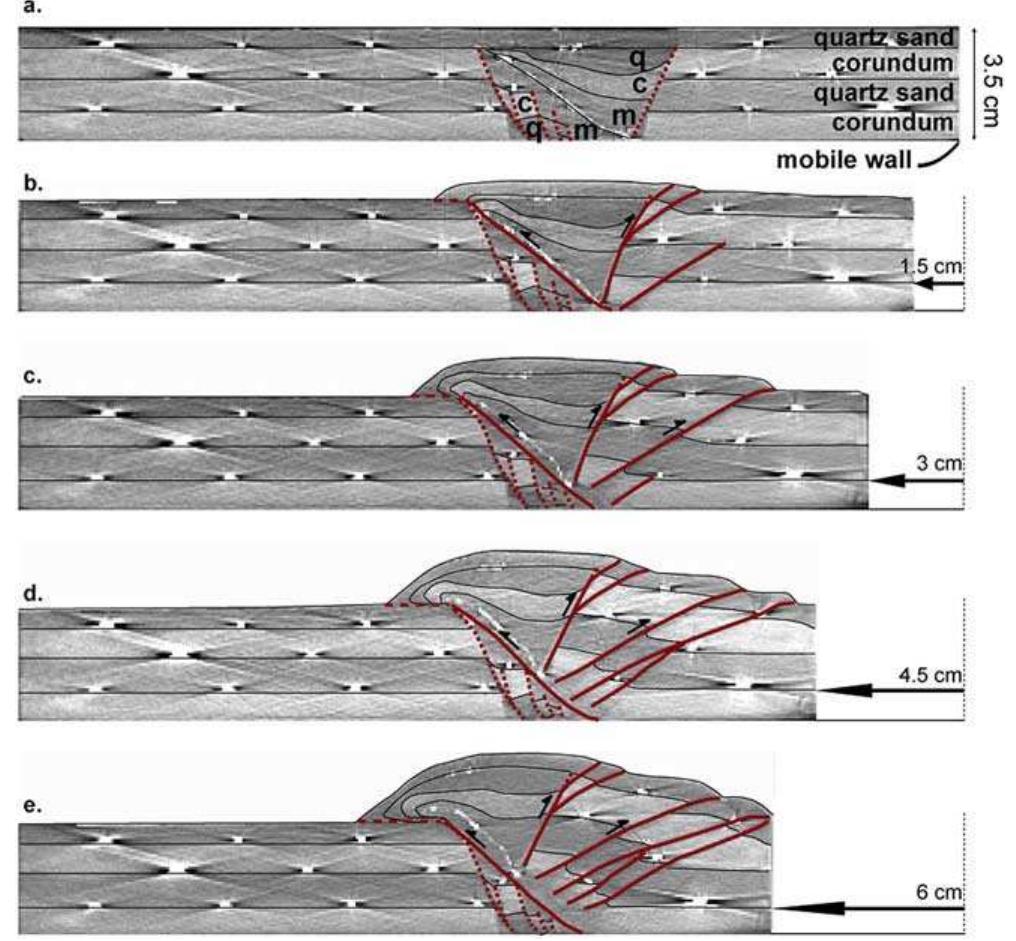 X-ray ct images of ng model: (a) before shortening, (b)