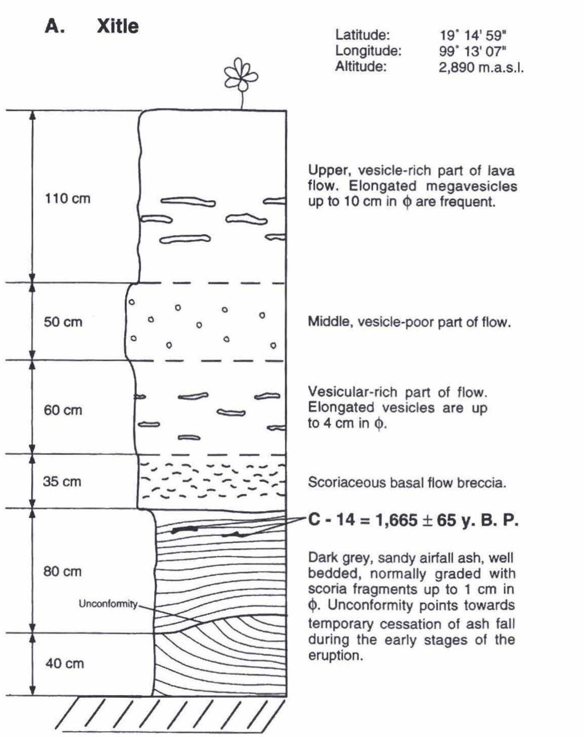 Figure 8 - Timing of the prehistoric eruption of Xitle