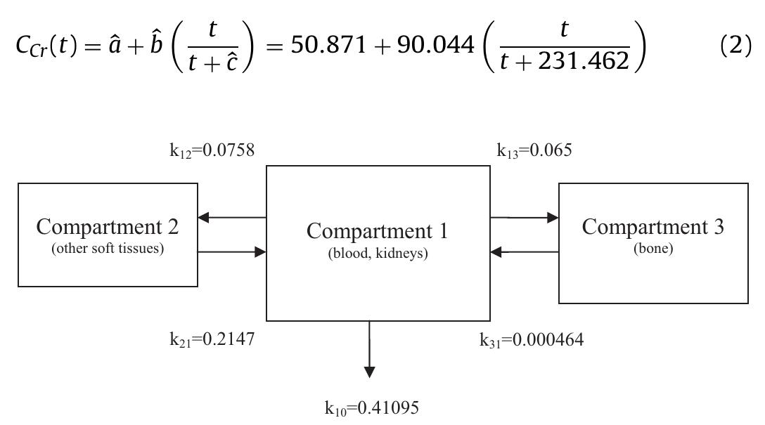 Because glomerular filtration, the primary pathway of