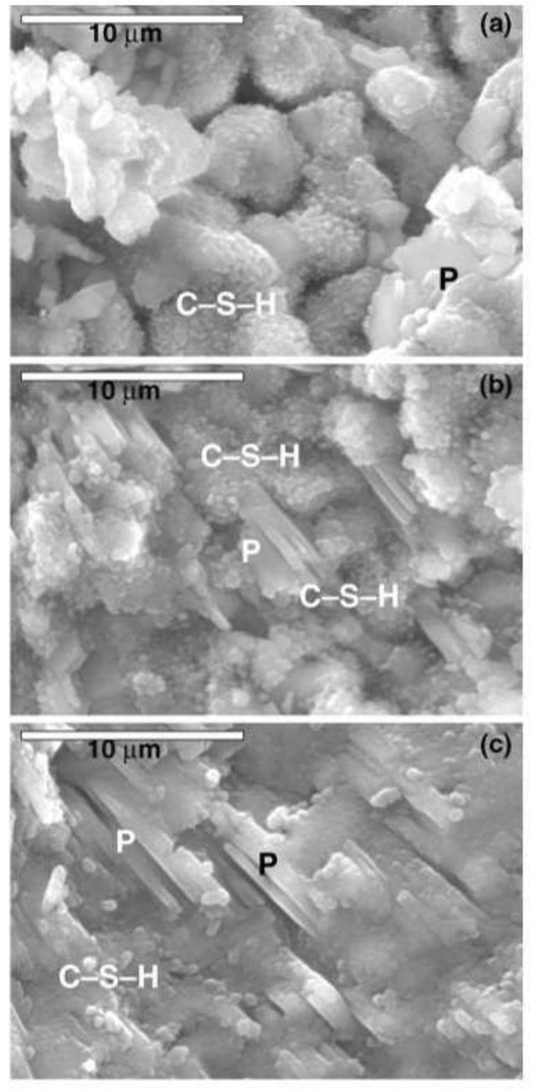 Sem images of the microstructure of hydrated c3s: a 3 days,