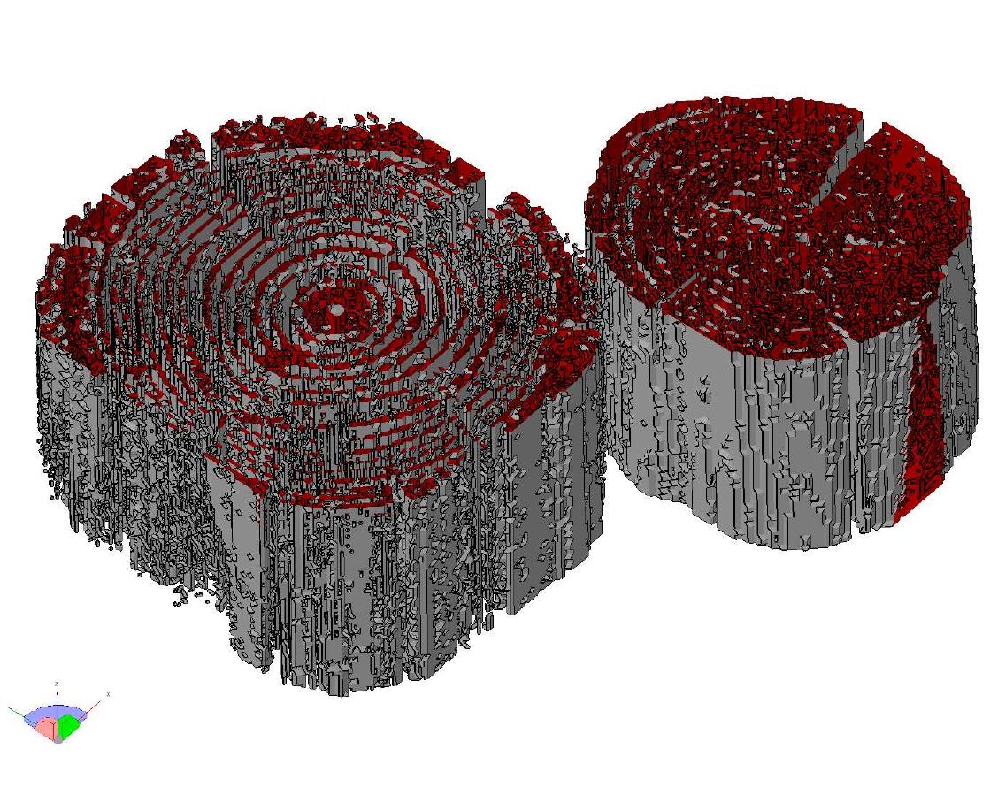 Isosurface output meshes generated from ct scans