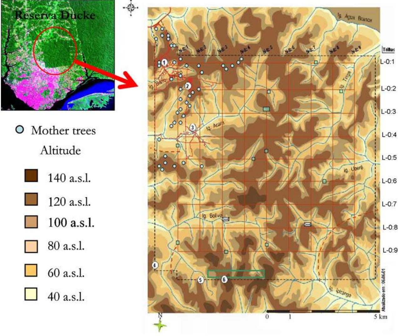 Landsat image and trail map of adolpho ducke florest reserve